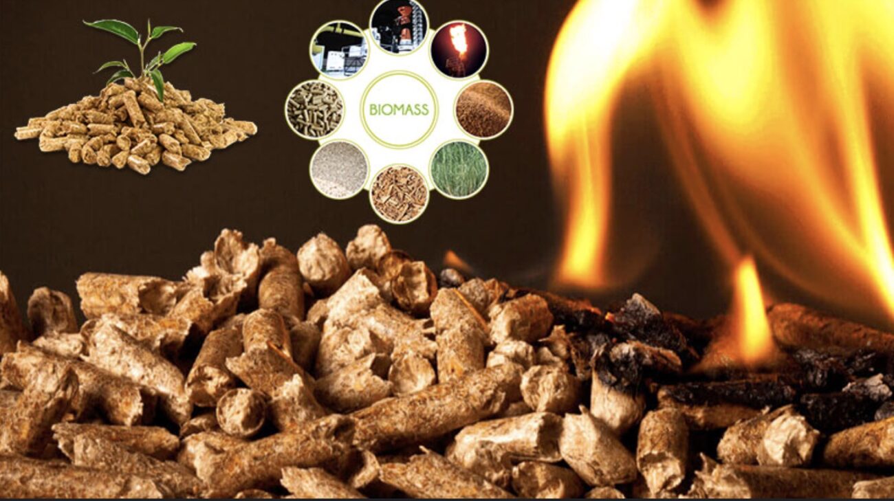Wood Pellets | Pellet Wood Pellets UK | Get 10% Discount Today